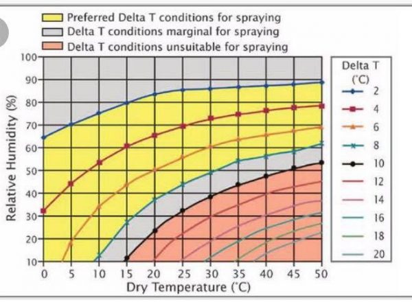 When Is the Best Time to Spray?